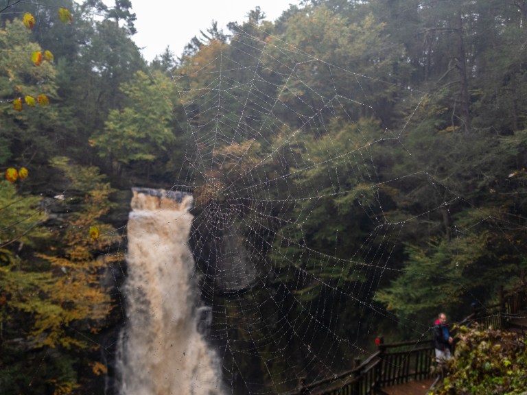 Bushkill Falls – Kozmo Photos