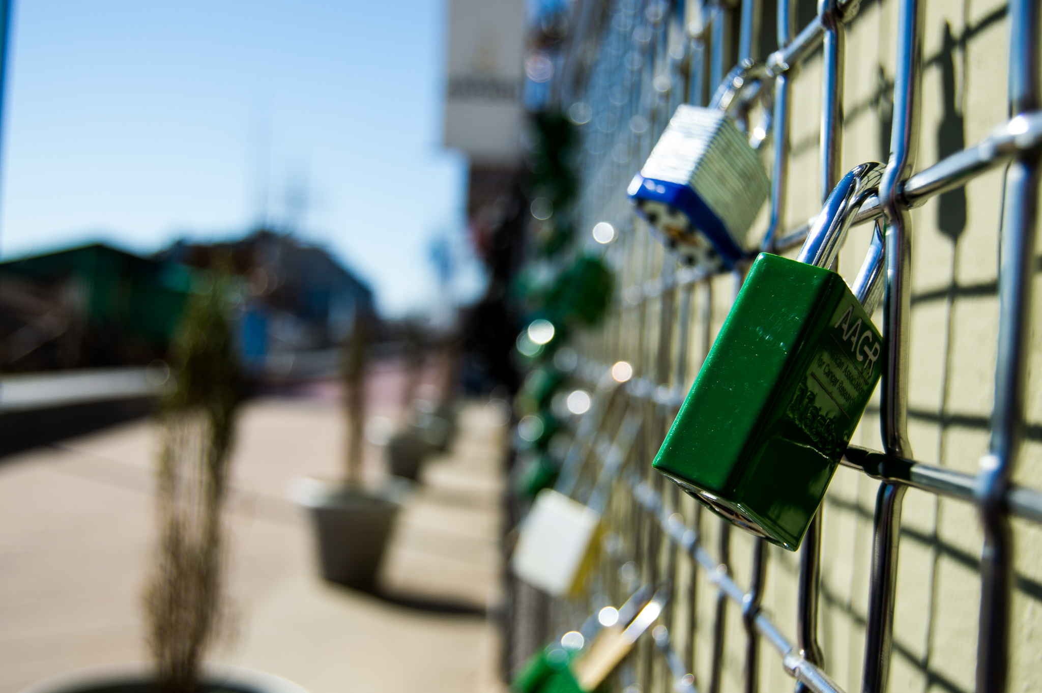 Five Photography Niches You Should Try Today – Kozmo Photos