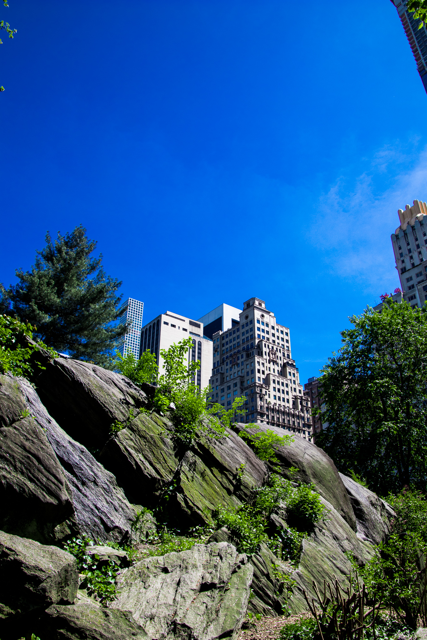 Experience the Ultimate Day in the Big Apple: A Guide to the Perfect ...