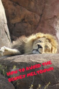 How to avoid the Disney Meltdown – Kozmo Photos
