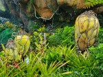 Everything Great about Animal Kingdom – Kozmo Photos