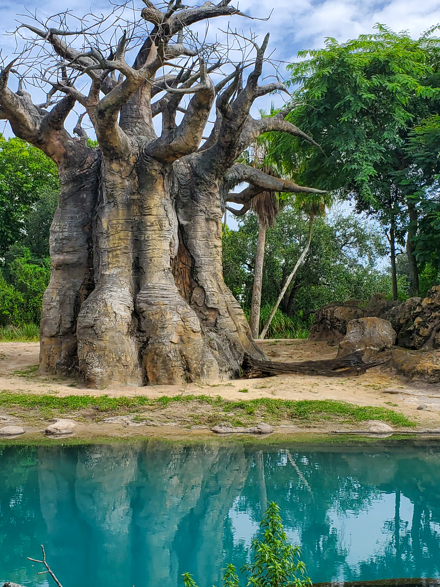 Everything Great about Animal Kingdom – Kozmo Photos