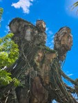 Everything Great about Animal Kingdom – Kozmo Photos
