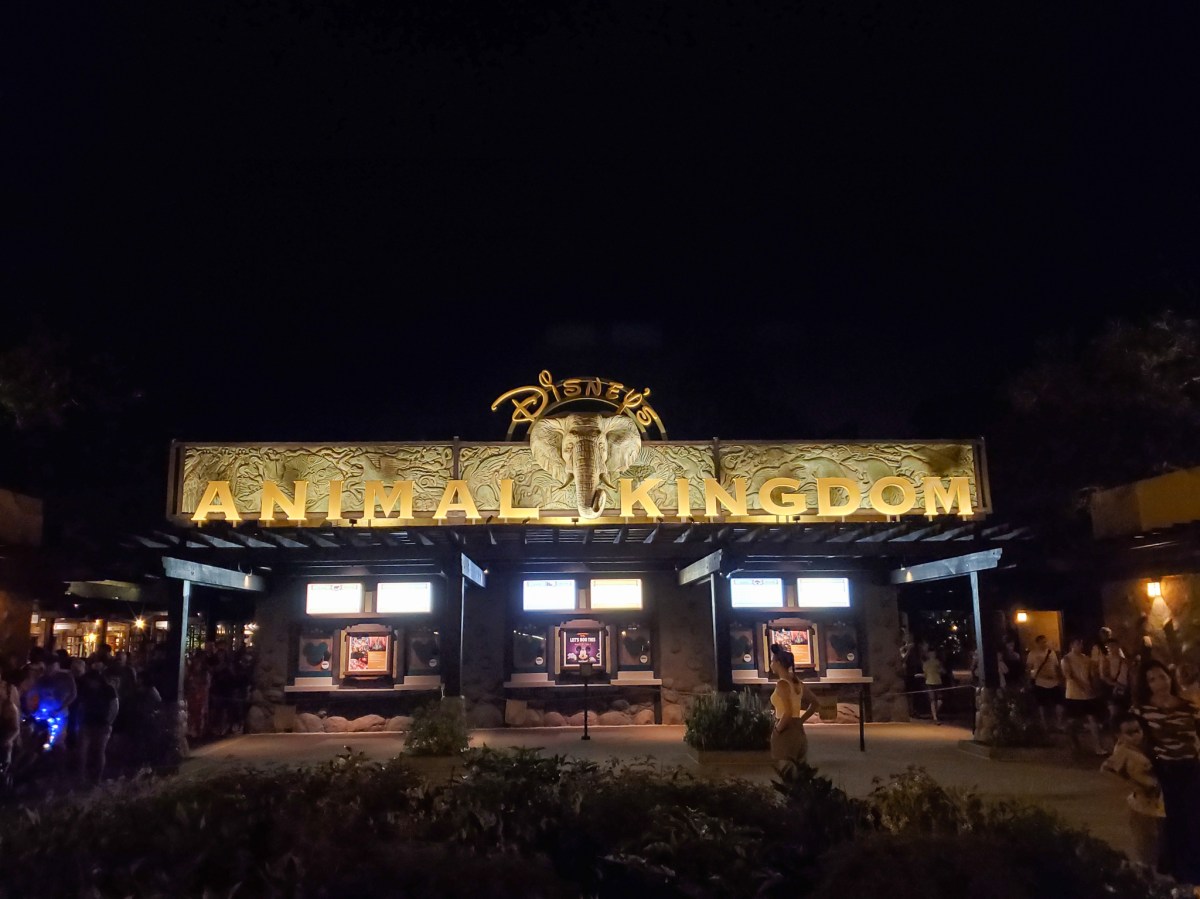 Everything Great about Animal Kingdom – Kozmo Photos