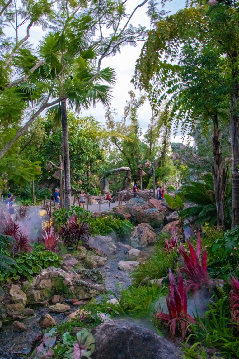 Everything Great about Animal Kingdom – Kozmo Photos