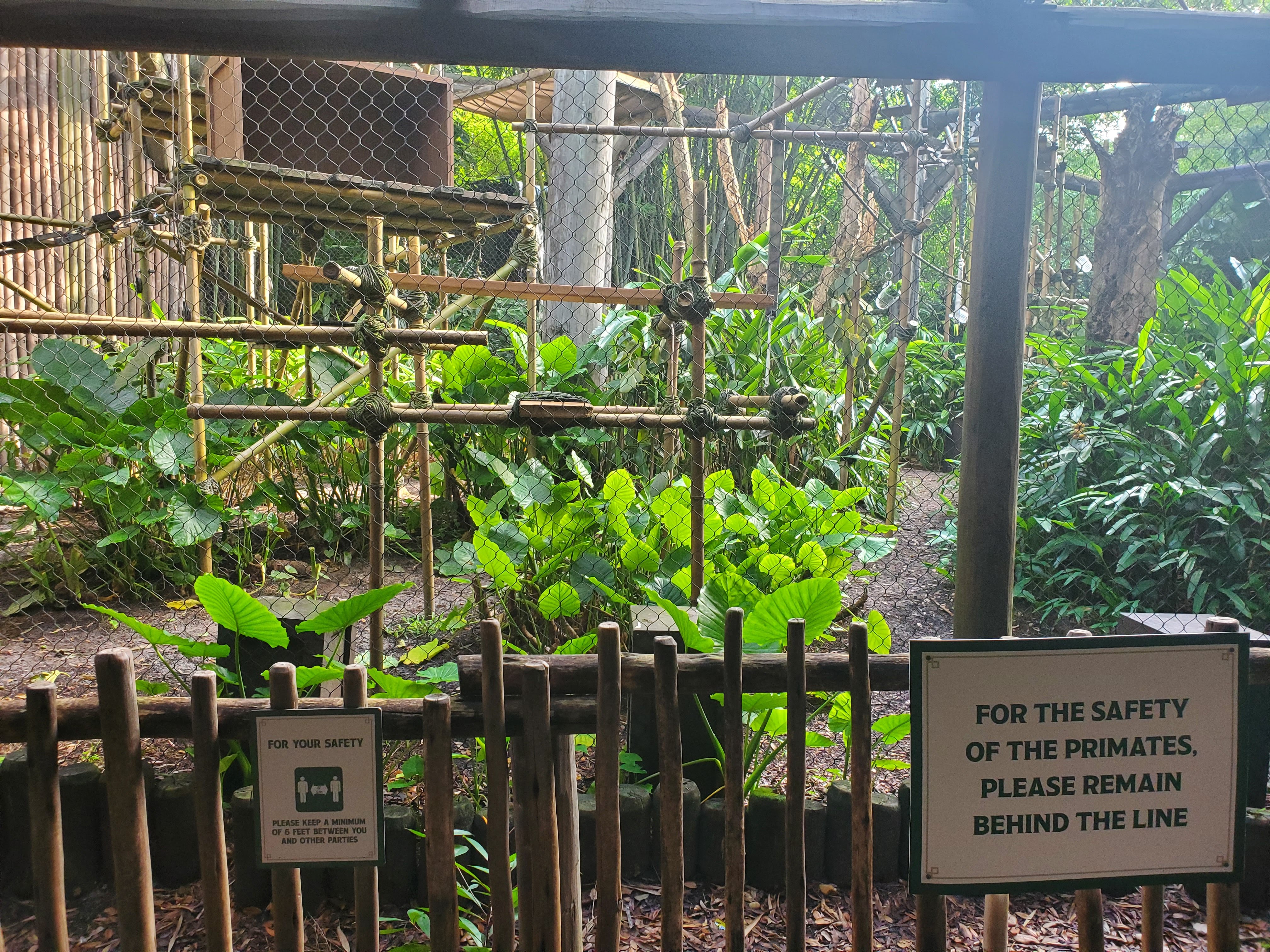 Lions, Gorillas, and Banshees OH MY: Pandemic Disney Trip Day 3 – Kozmo ...