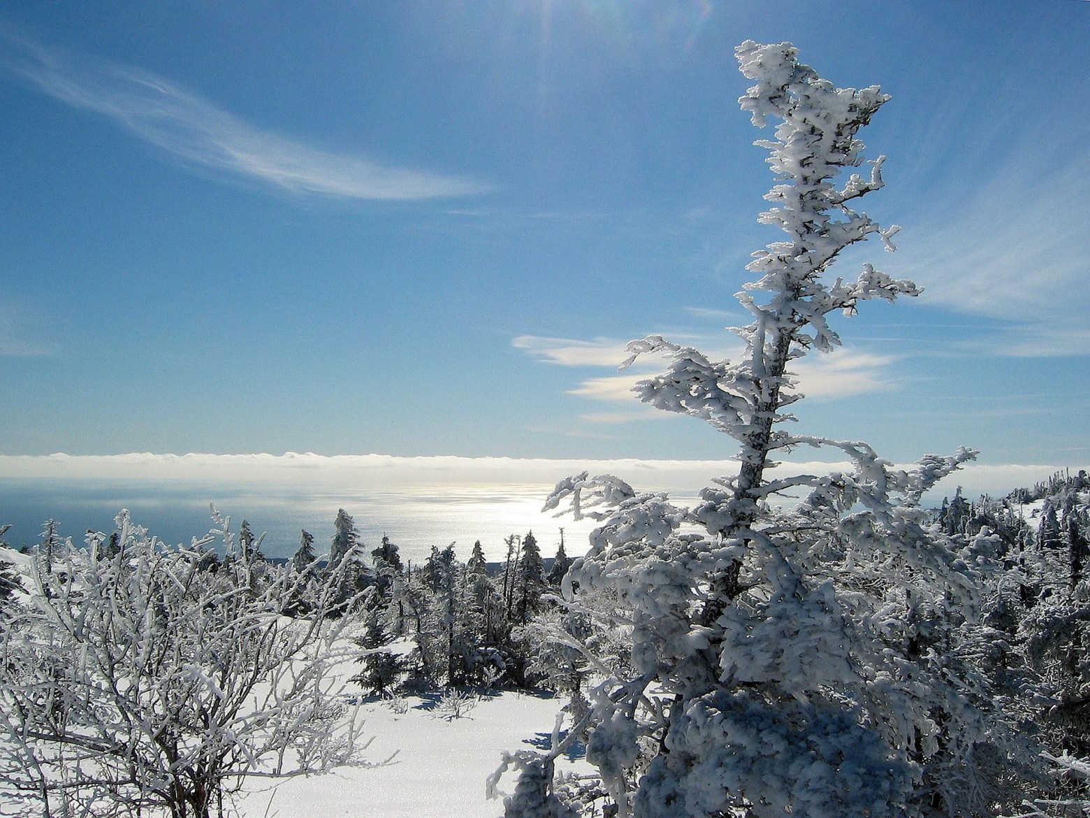 10 Winter Photography Hacks You Need to Try – Kozmo Photos