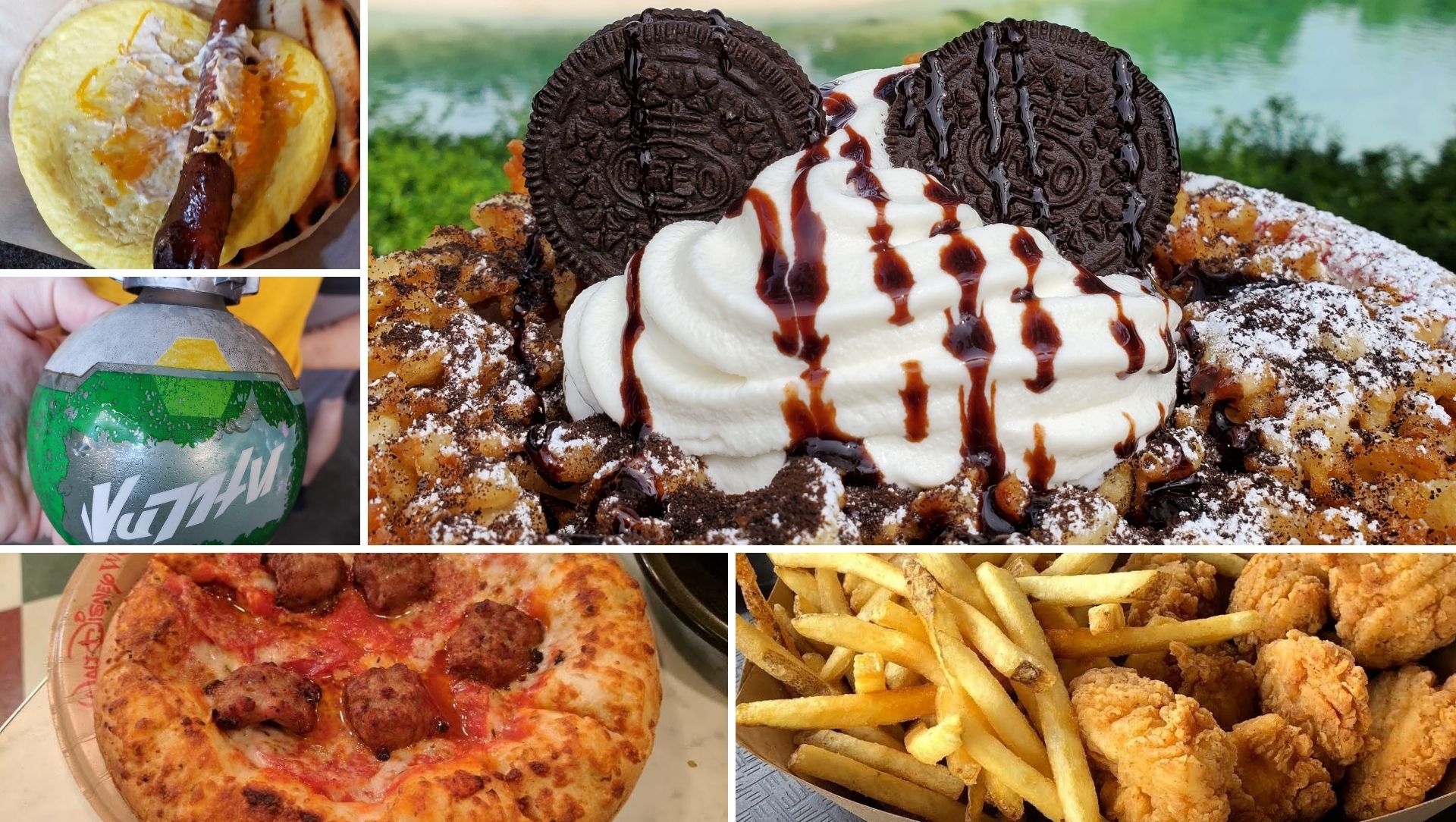 Animal Kingdom or Hollywood Studios: Which one to visit – Kozmo Photos