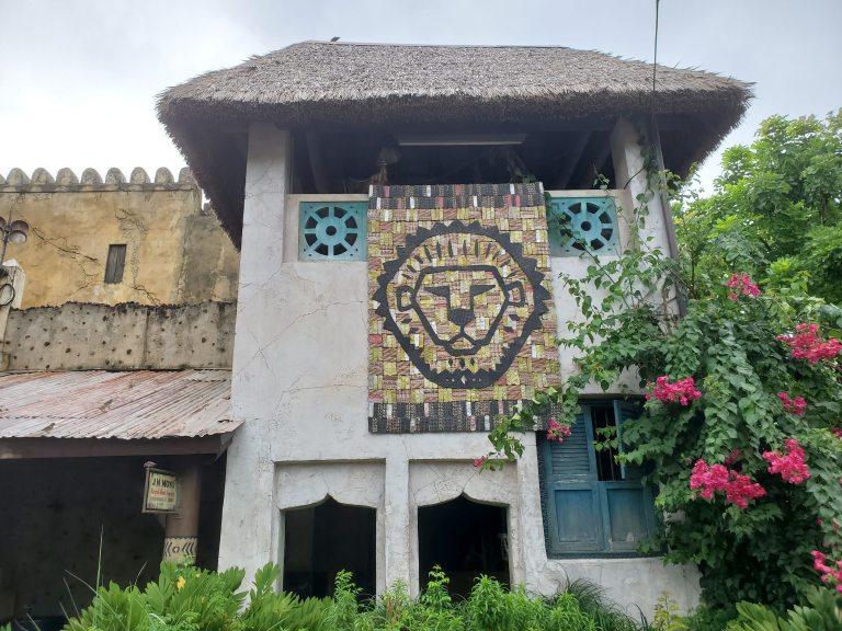 Complete Guide to Disney’s Animal Kingdom – Kozmo Photos