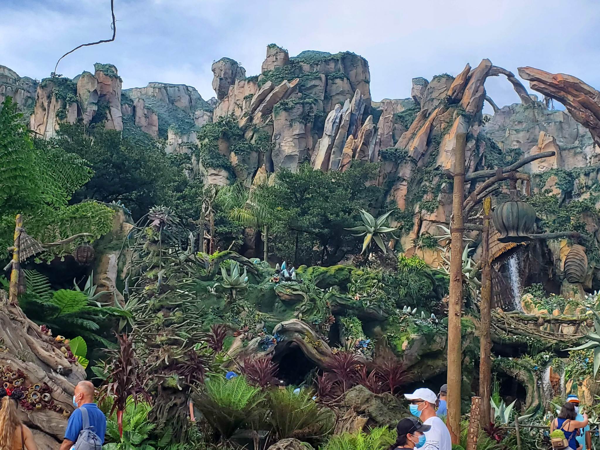 Complete Guide to Disney’s Animal Kingdom – Kozmo Photos