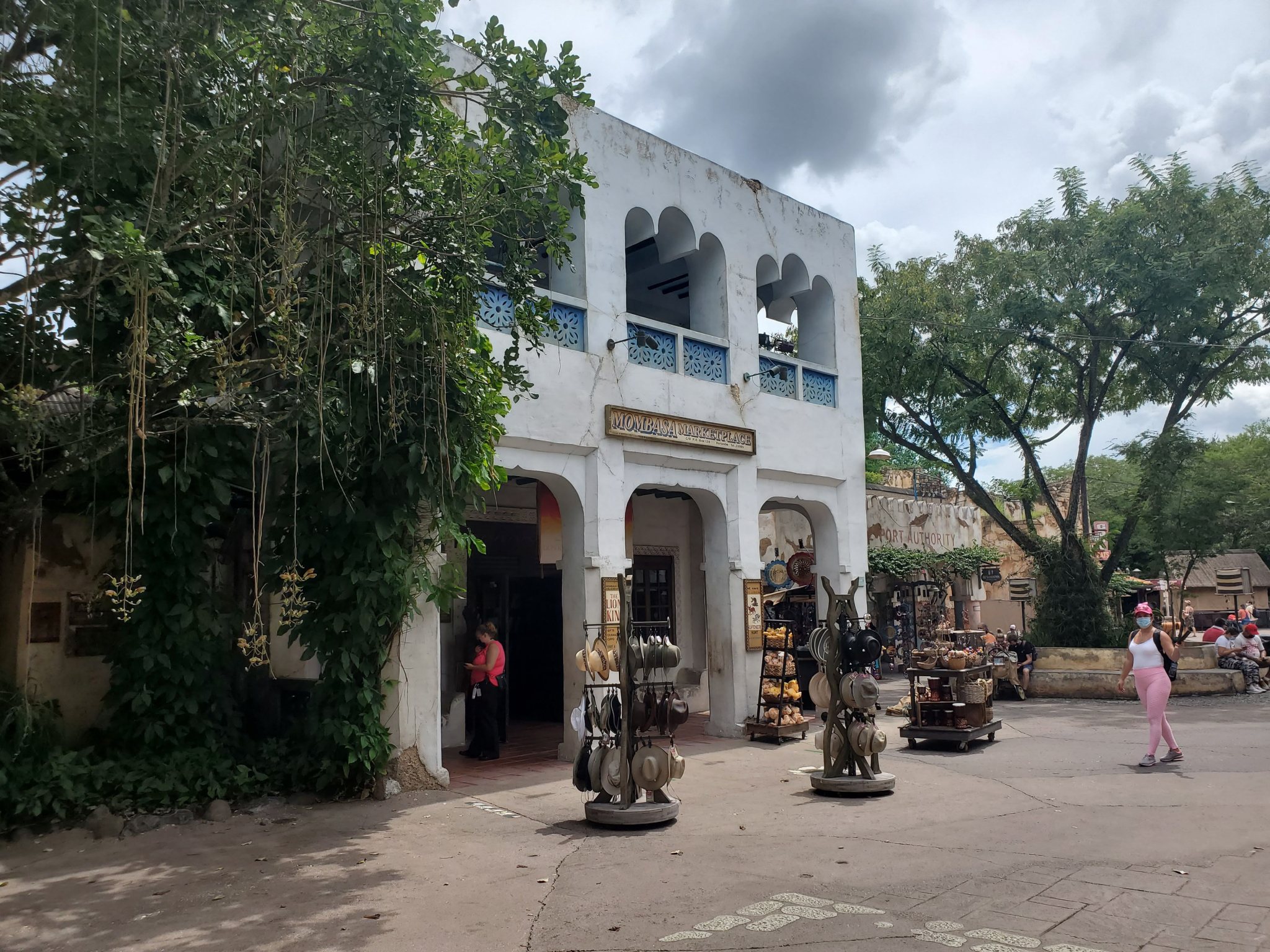 Complete Guide to Disney’s Animal Kingdom – Kozmo Photos