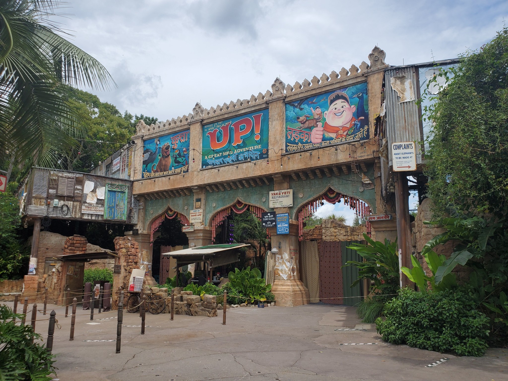 Complete Guide to Disney’s Animal Kingdom – Kozmo Photos