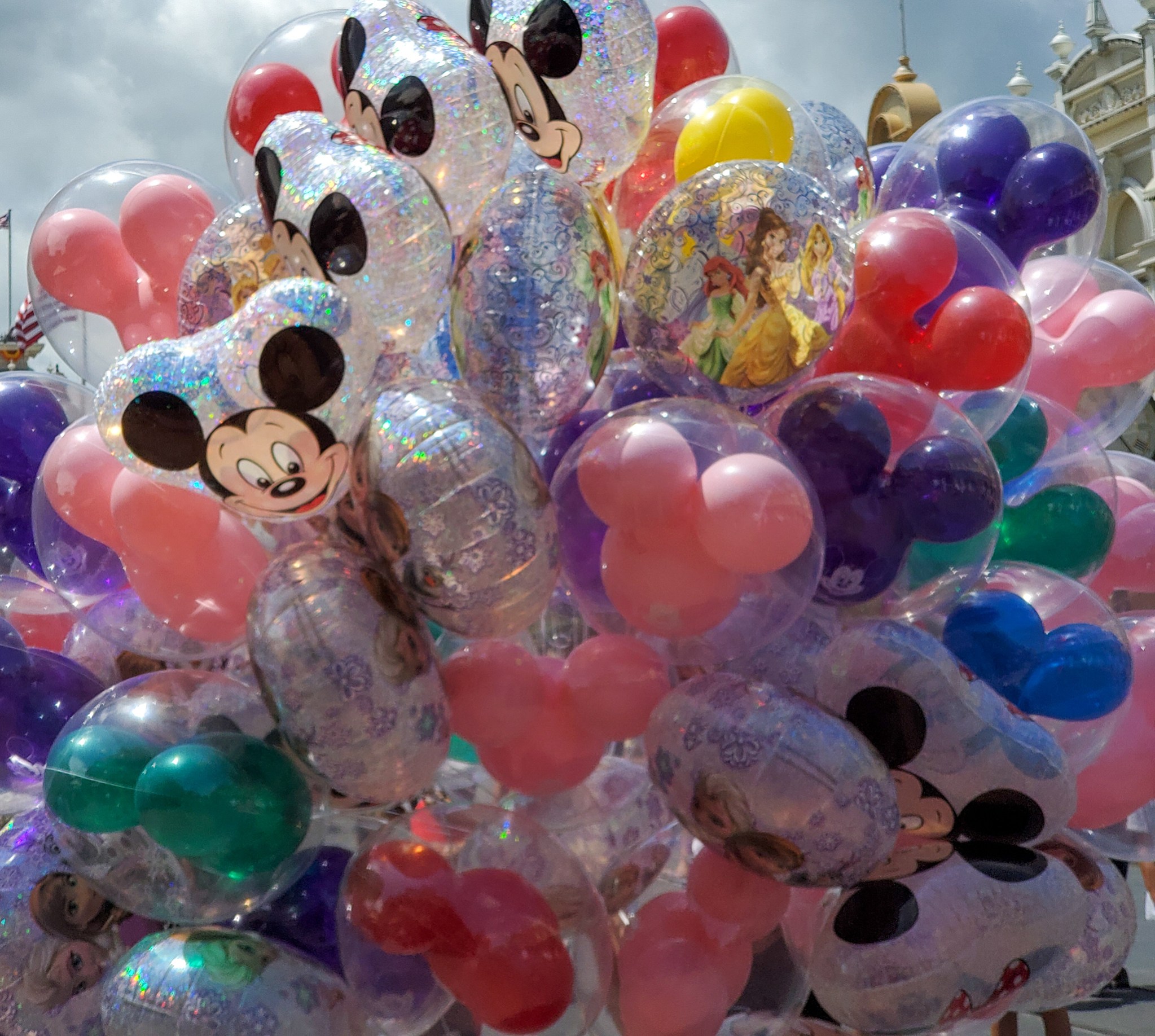 10 things you might not know about Animal Kingdom – Kozmo Photos