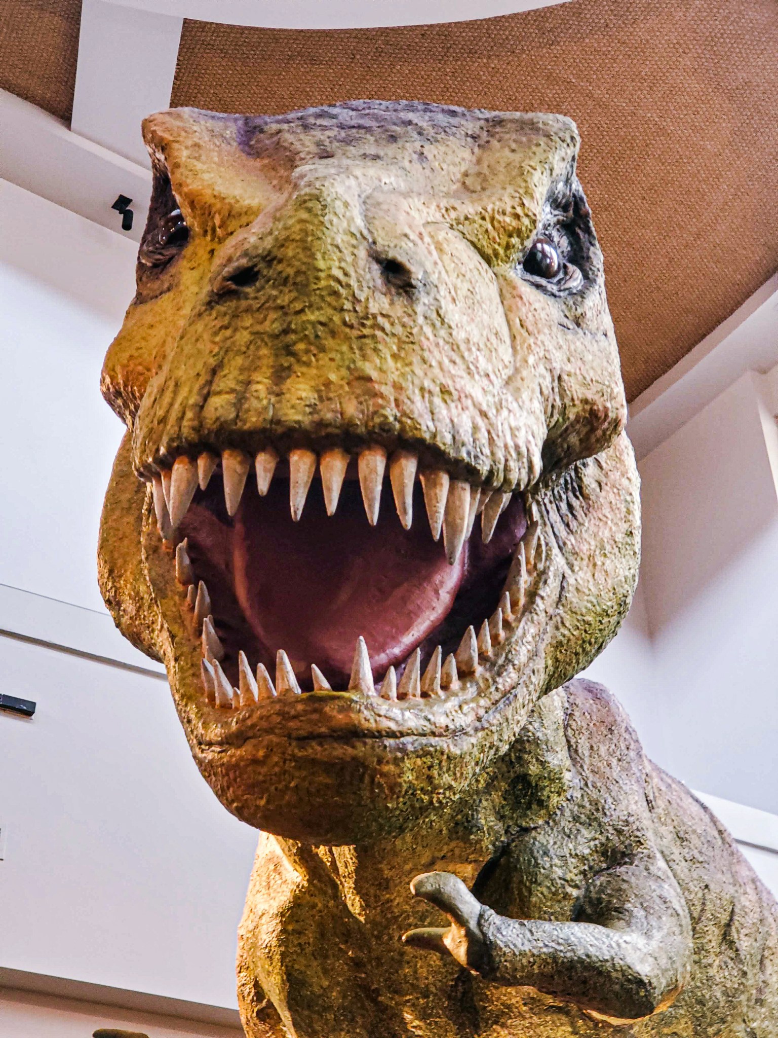 Movies to watch before you visit Universal Orlando – Kozmo Photos