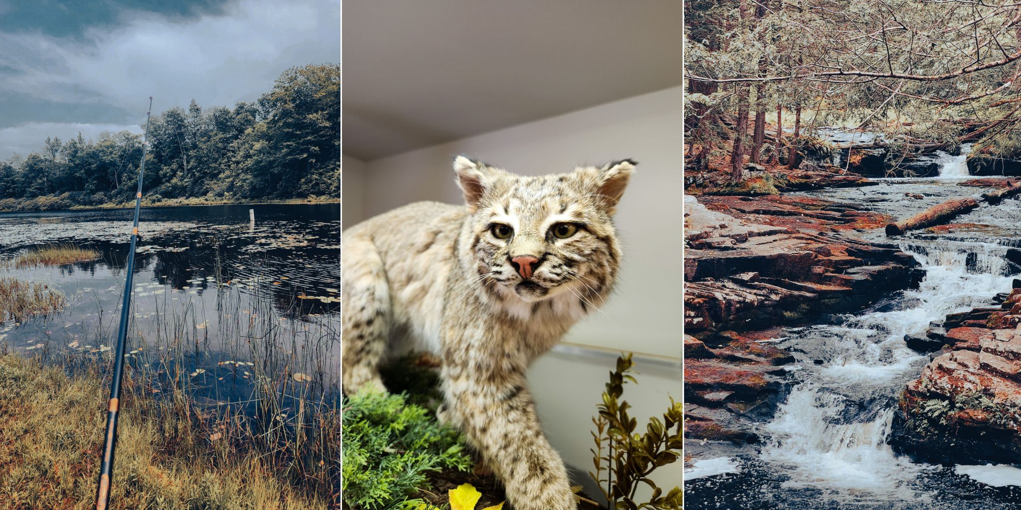 Promised Land State Park – Kozmo Photos