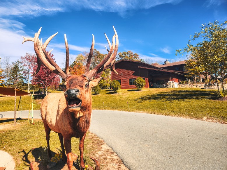 PA Wilds – Kozmo Photos