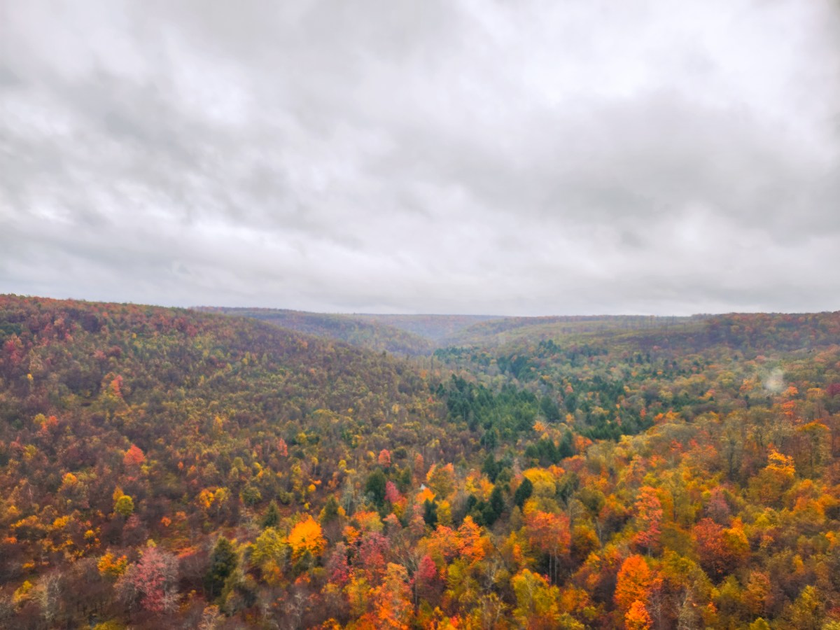 The 10 Best Pennsylvania State Parks to visit – Kozmo Photos