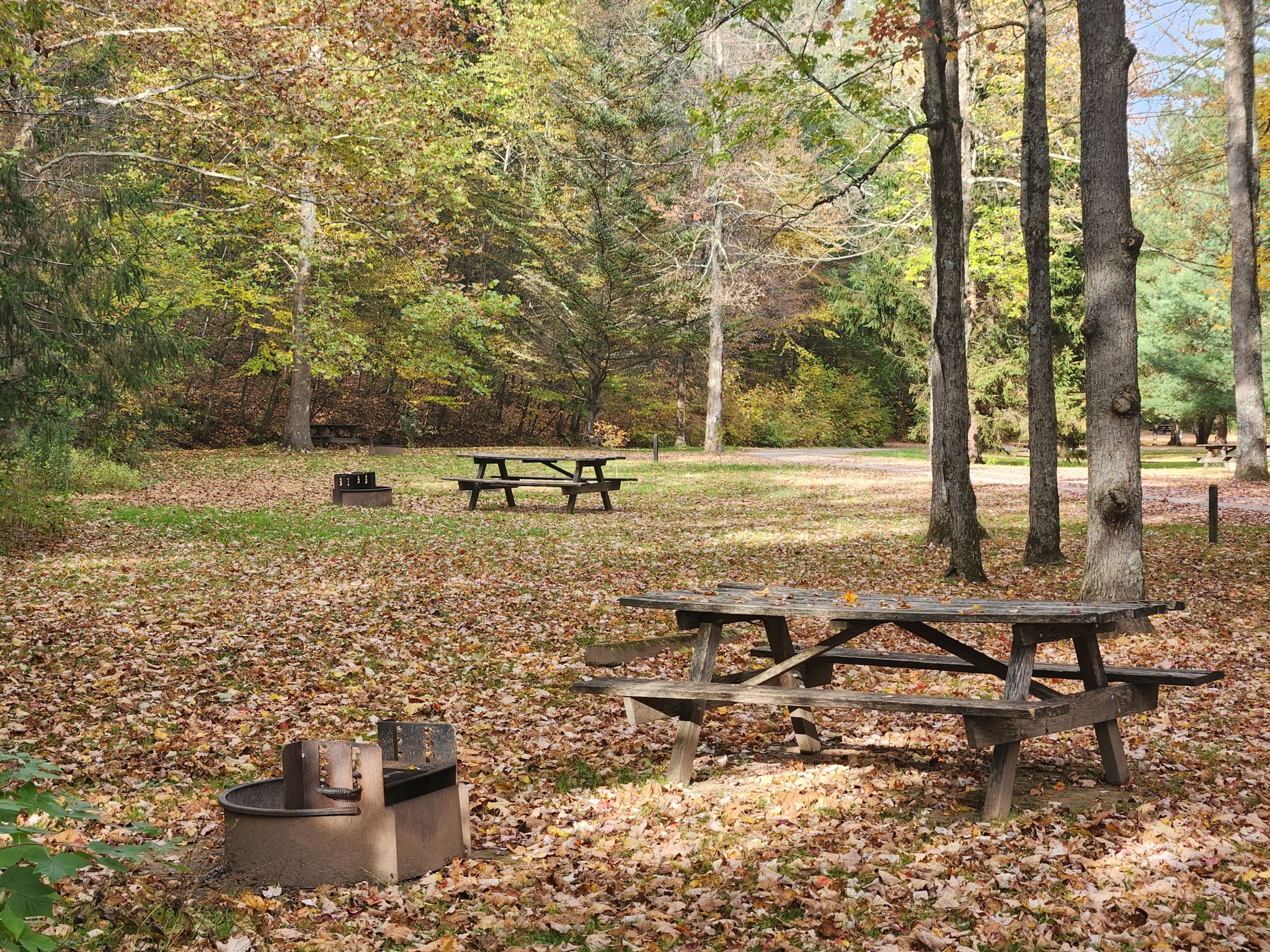 Ole Bull State Park – Kozmo Photos