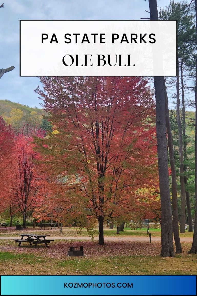 Ole Bull State Park – Kozmo Photos