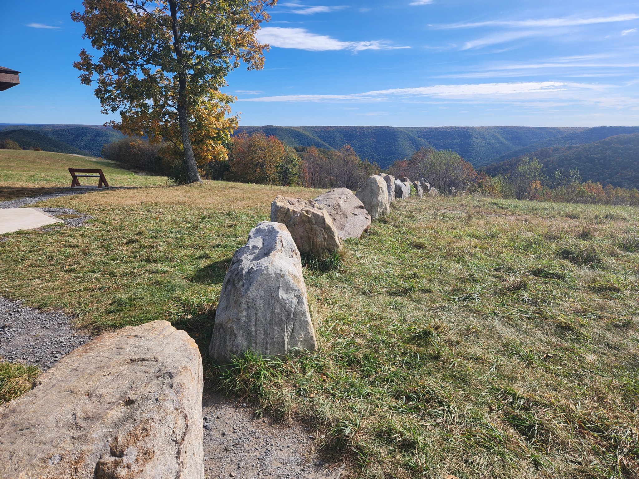 The Counter-Intuitive Technique That Will Transform Your Landscape ...