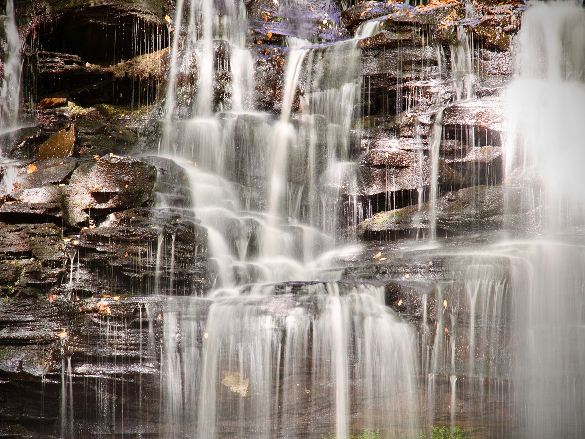 The 10 Best Pennsylvania State Parks to visit – Kozmo Photos