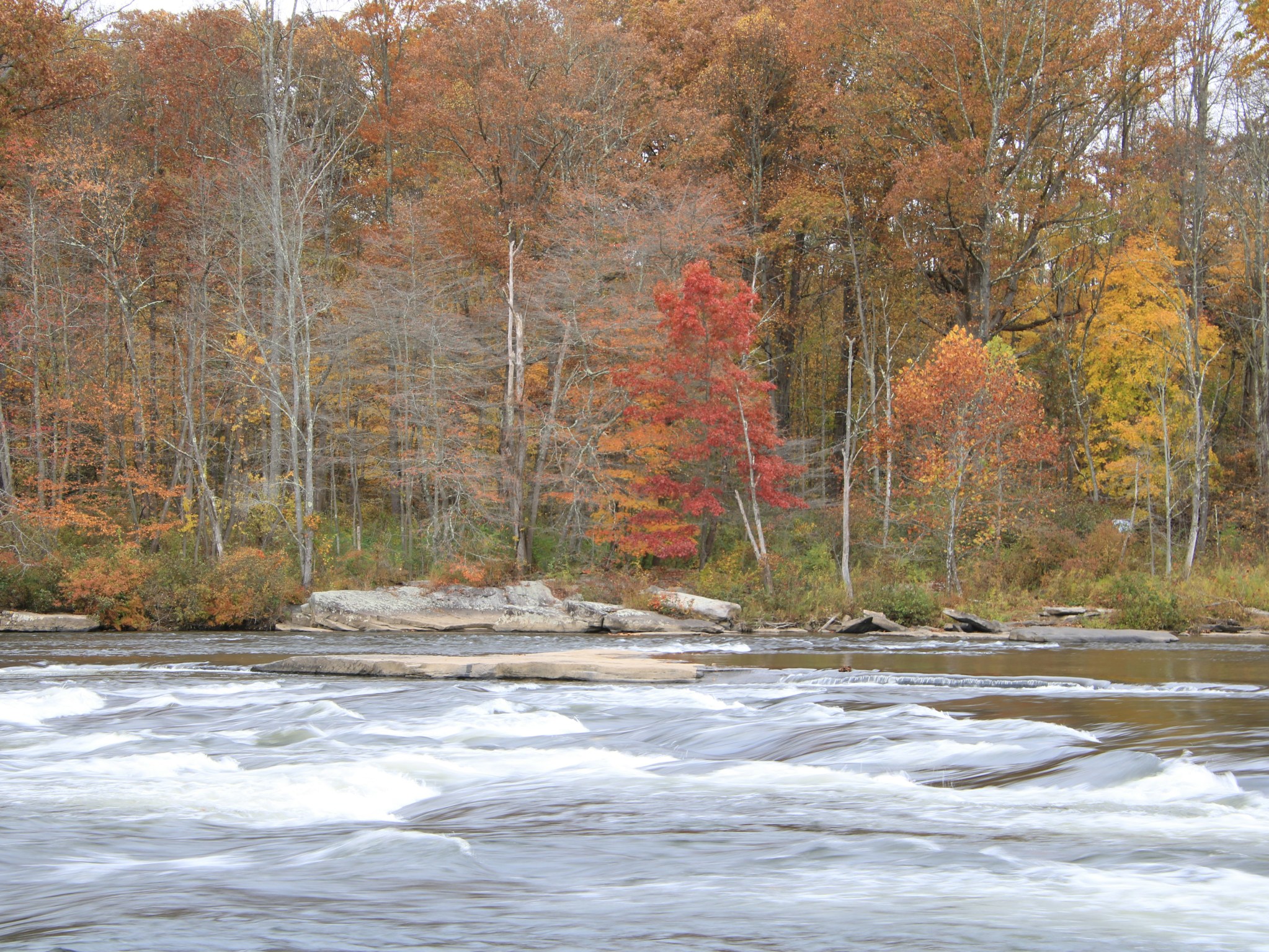 The 10 Best Pennsylvania State Parks to visit – Kozmo Photos